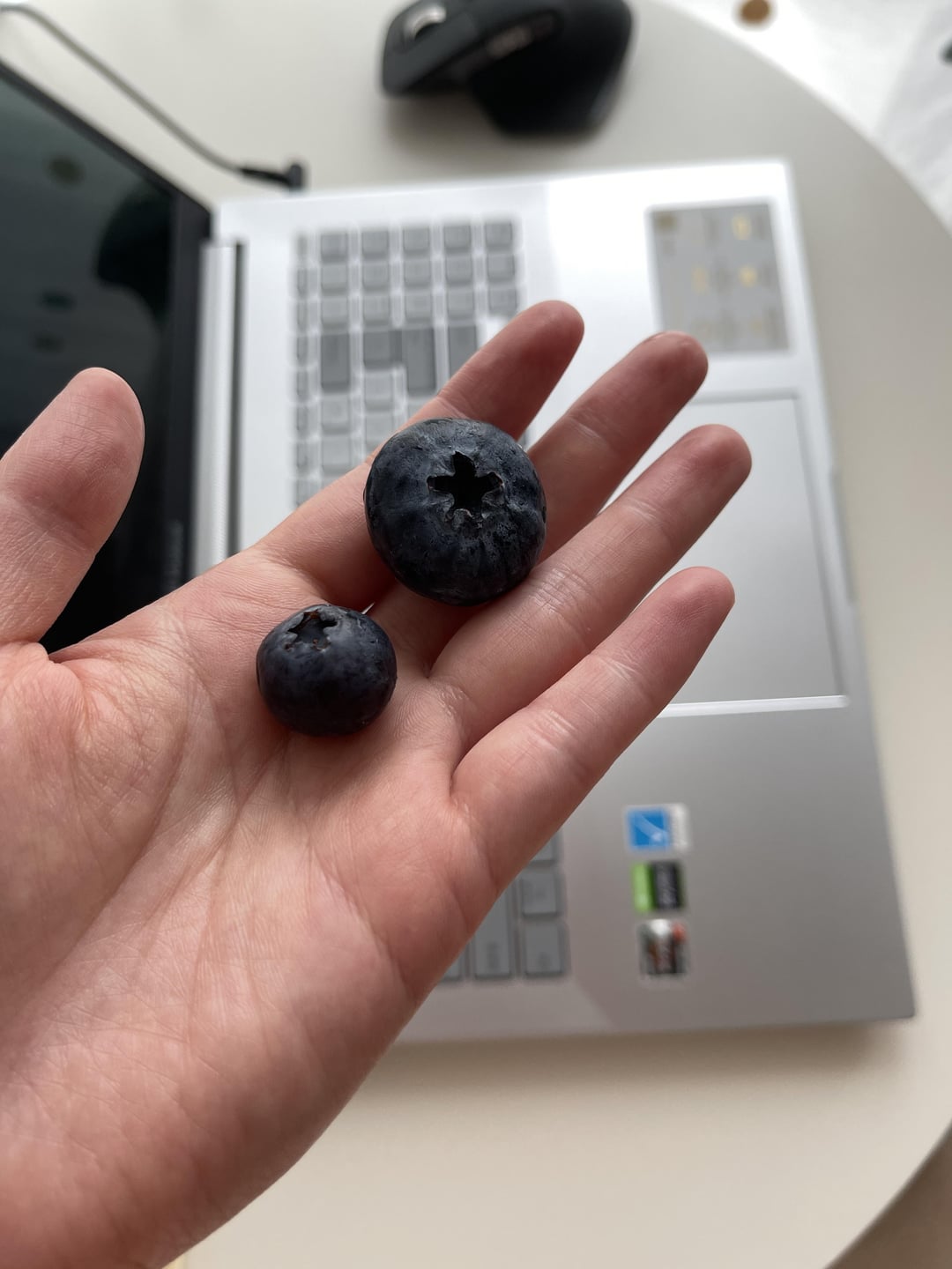 A huge blueberry | Know Your Meme