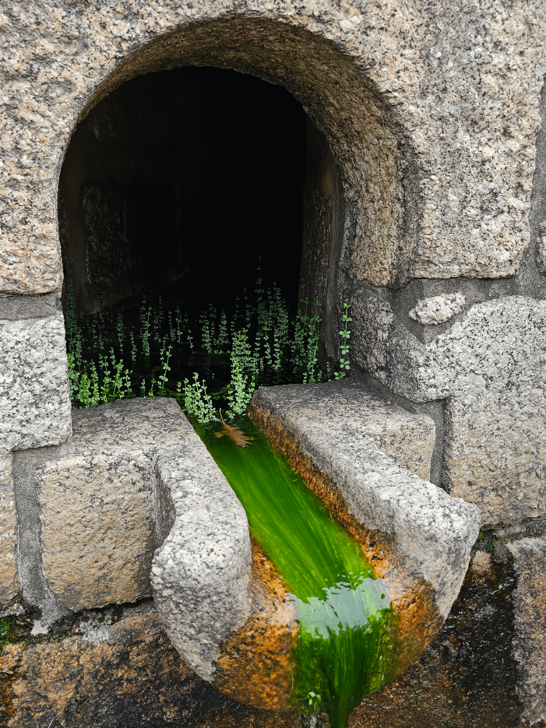 A green waterfall and everything | Know Your Meme