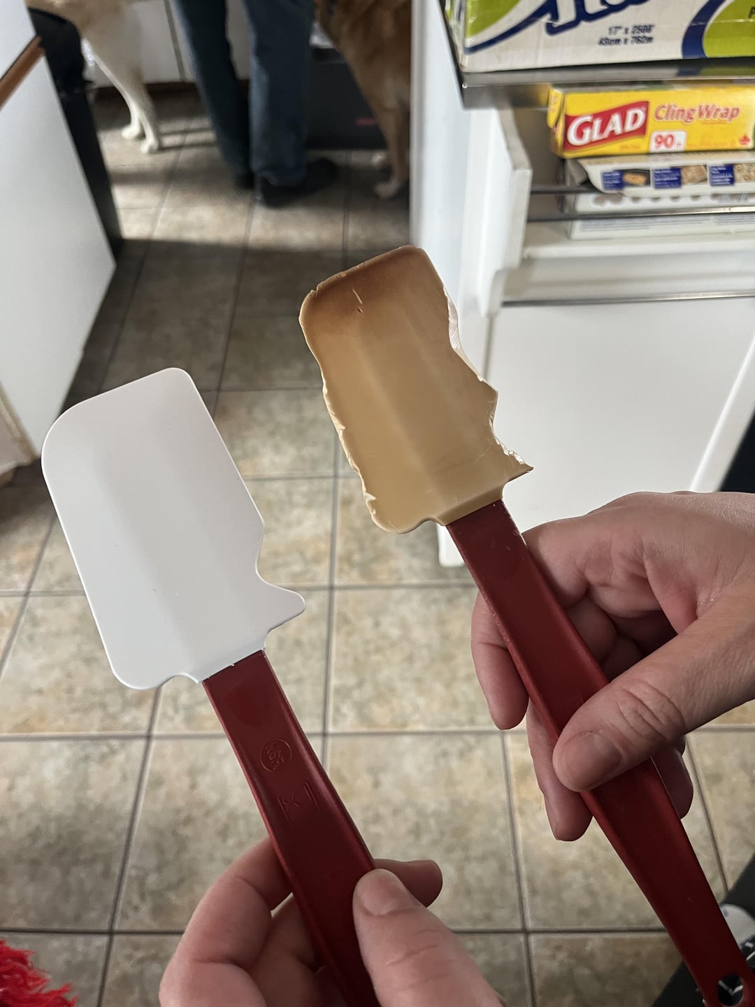 22-year-old spatula | Know Your Meme