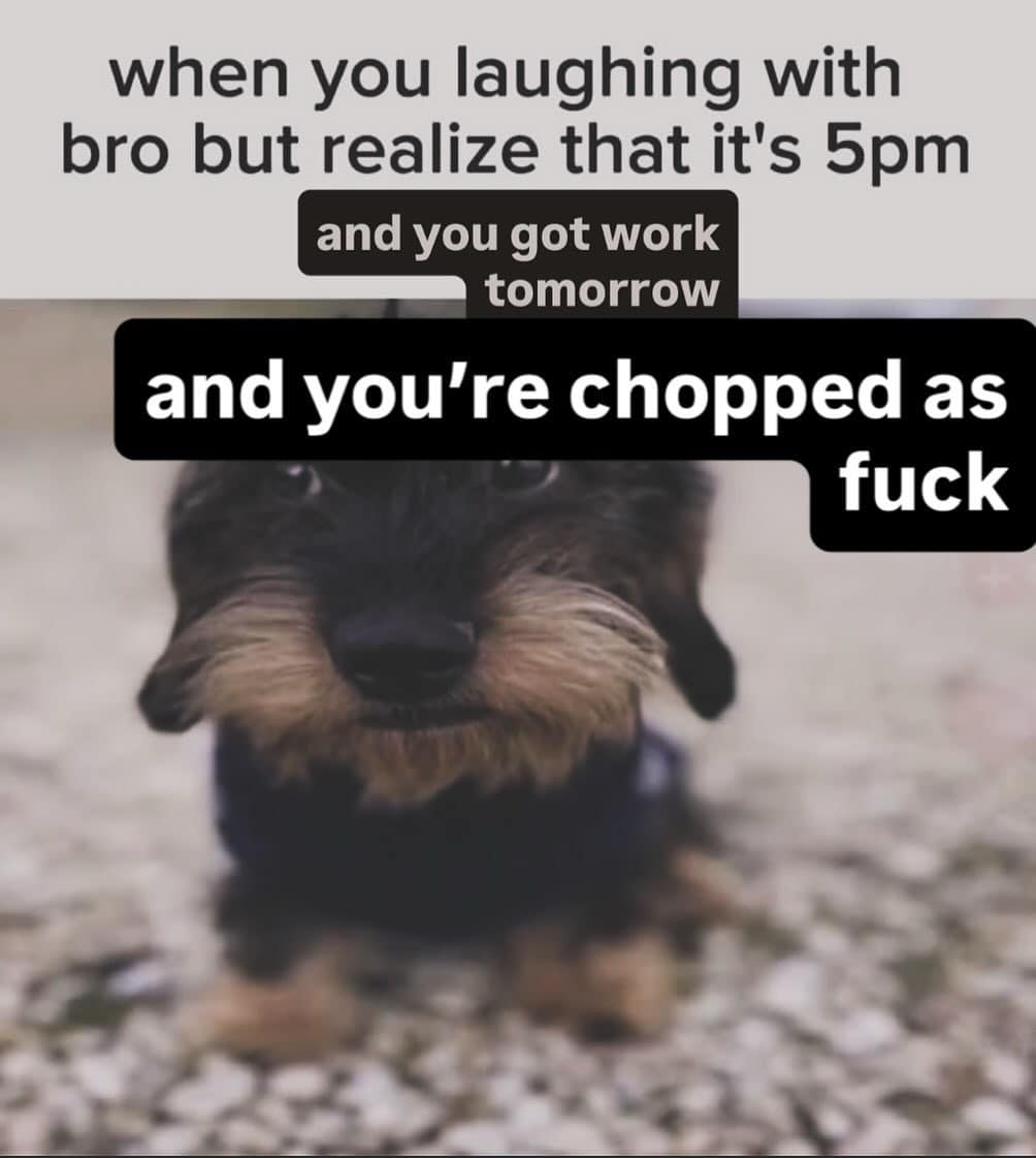 when you realize ur chopped | When You Laughing With Bro | Know Your Meme