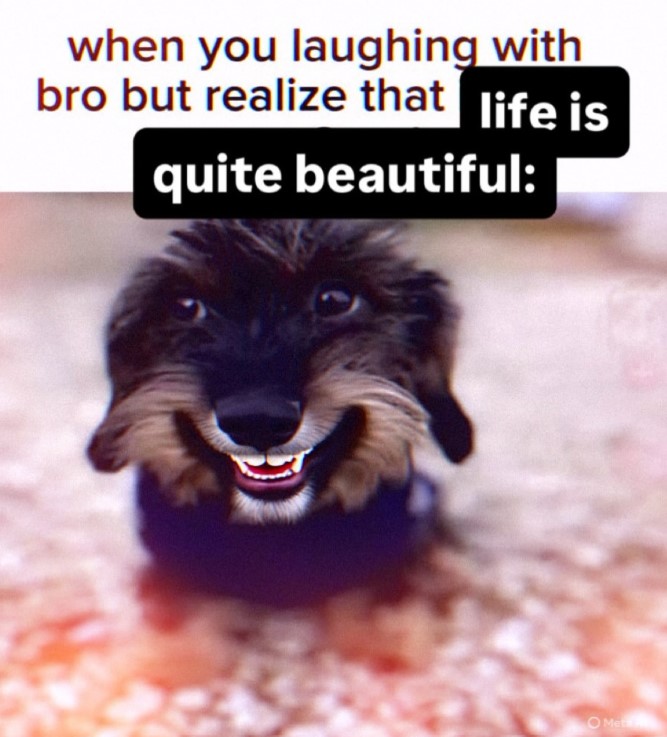 when you laughing with bro but realize that life is quite beautiful ...