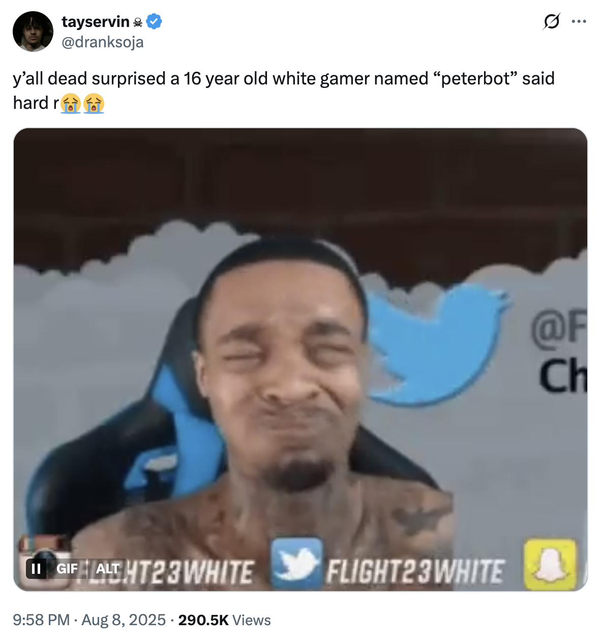 y’all dead surprised a 16 year old white gamer named “peterbot” said ...