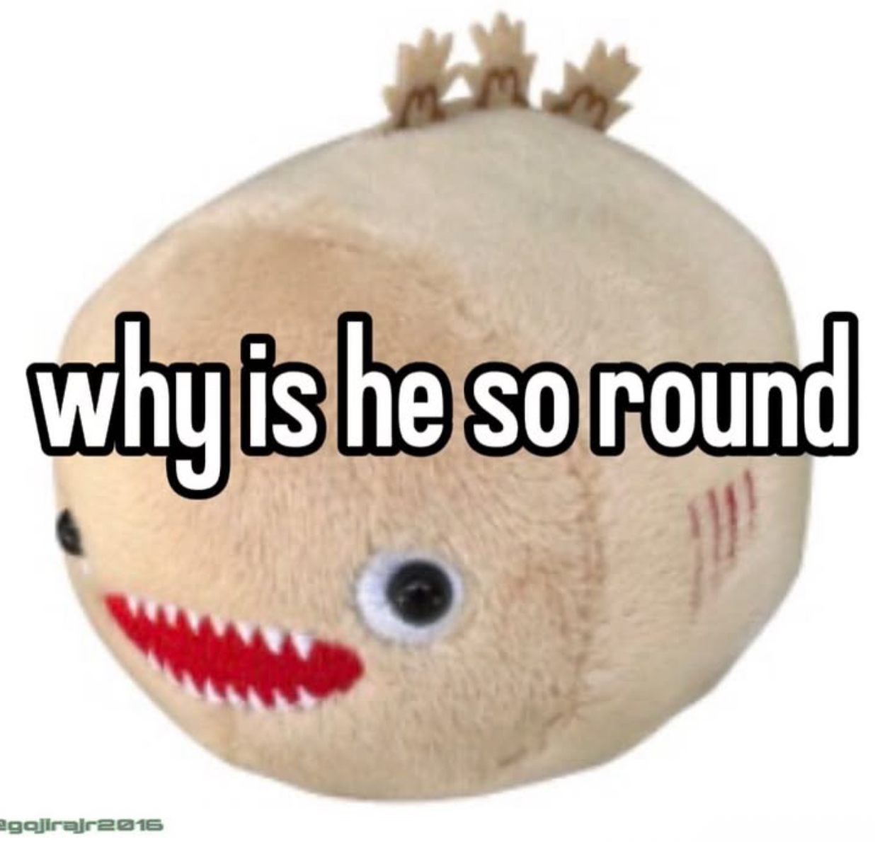 Very round | Kamata-kun | Know Your Meme