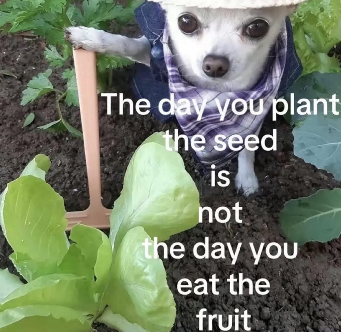 Motivational | /r/memes | Know Your Meme