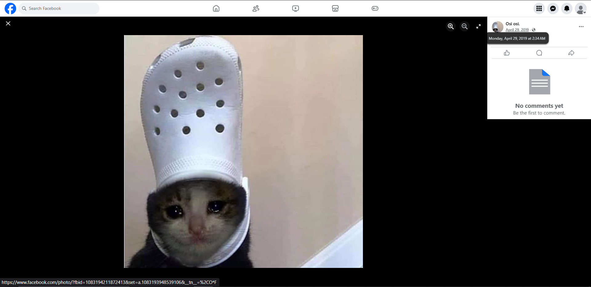 The earliest known publication of croc cat is a Facebook post from ...