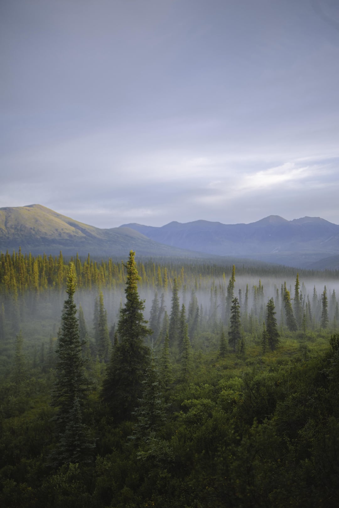 Denali highway, Alaska | Know Your Meme