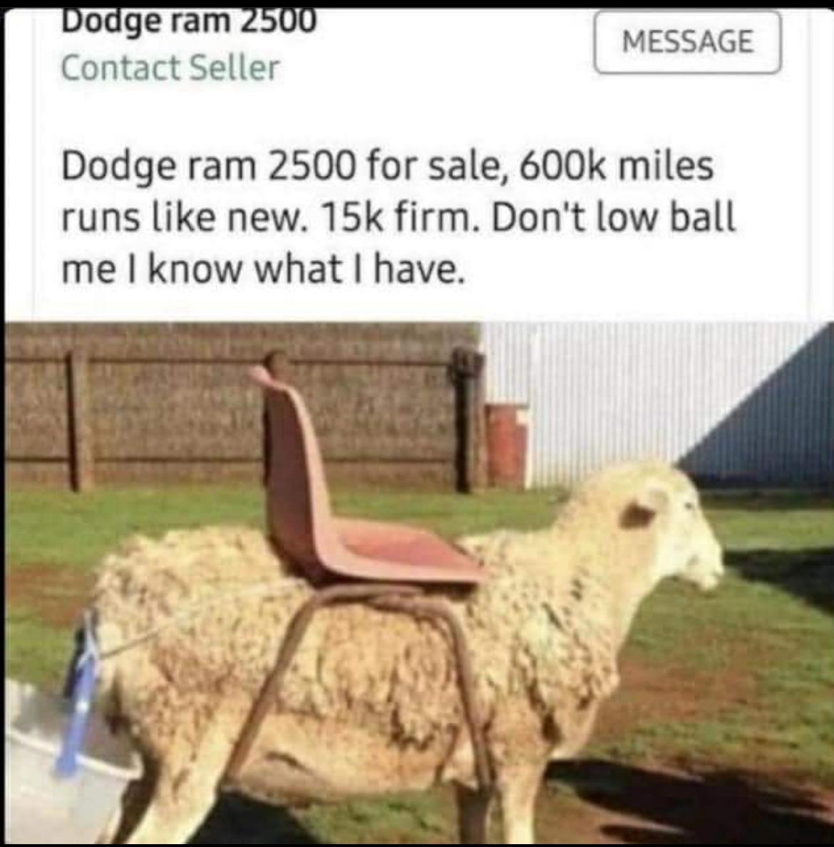 What a steal honestly | /r/memes | Know Your Meme