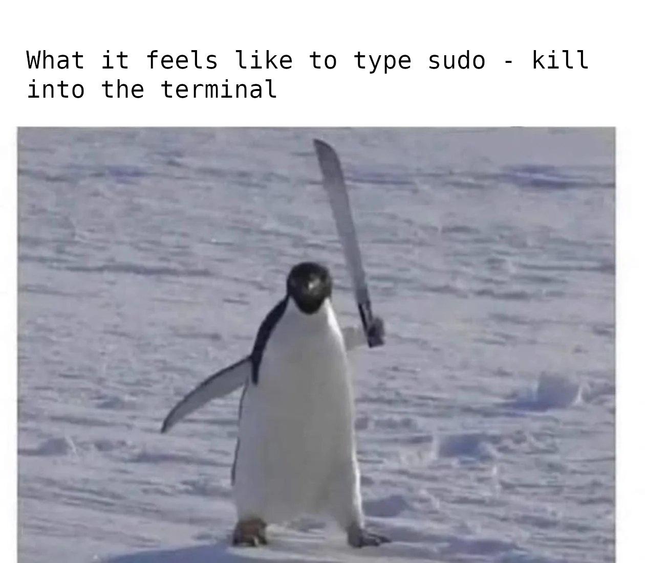 It's the year of Linux on desktop or something | /r/memes | Know Your Meme