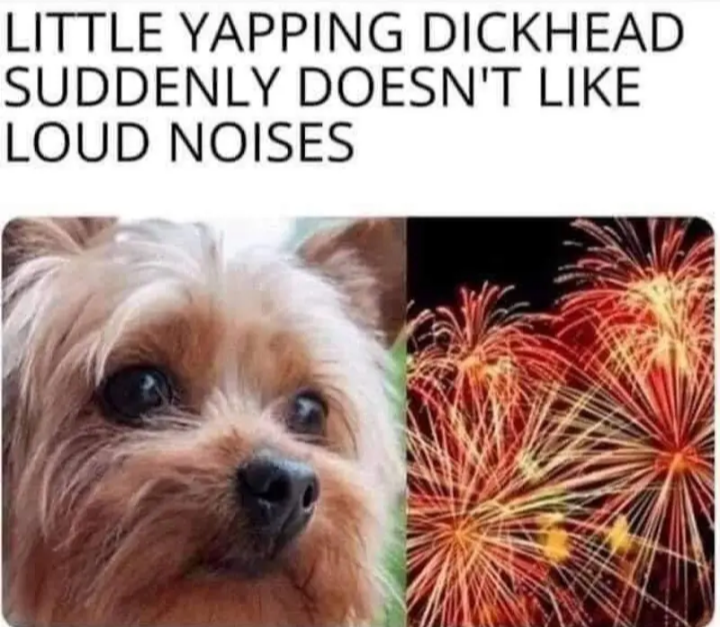Only when the fireworks start | /r/memes | Know Your Meme