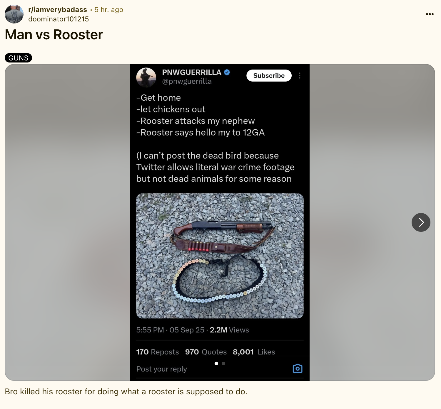 Man vs Rooster | PNWGUERRILLA Shooting Rooster Tweet | Know Your Meme