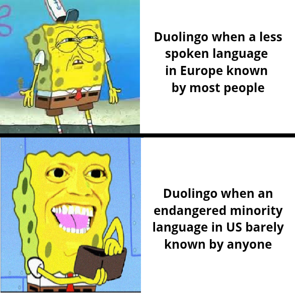 Duolingo be like: | /r/memes | Know Your Meme