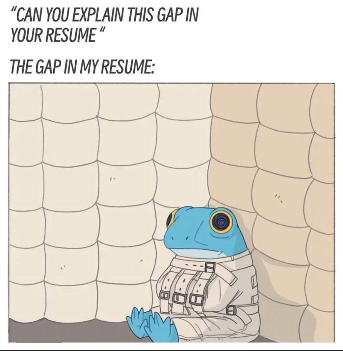 The gap in my resume | /r/memes | Know Your Meme