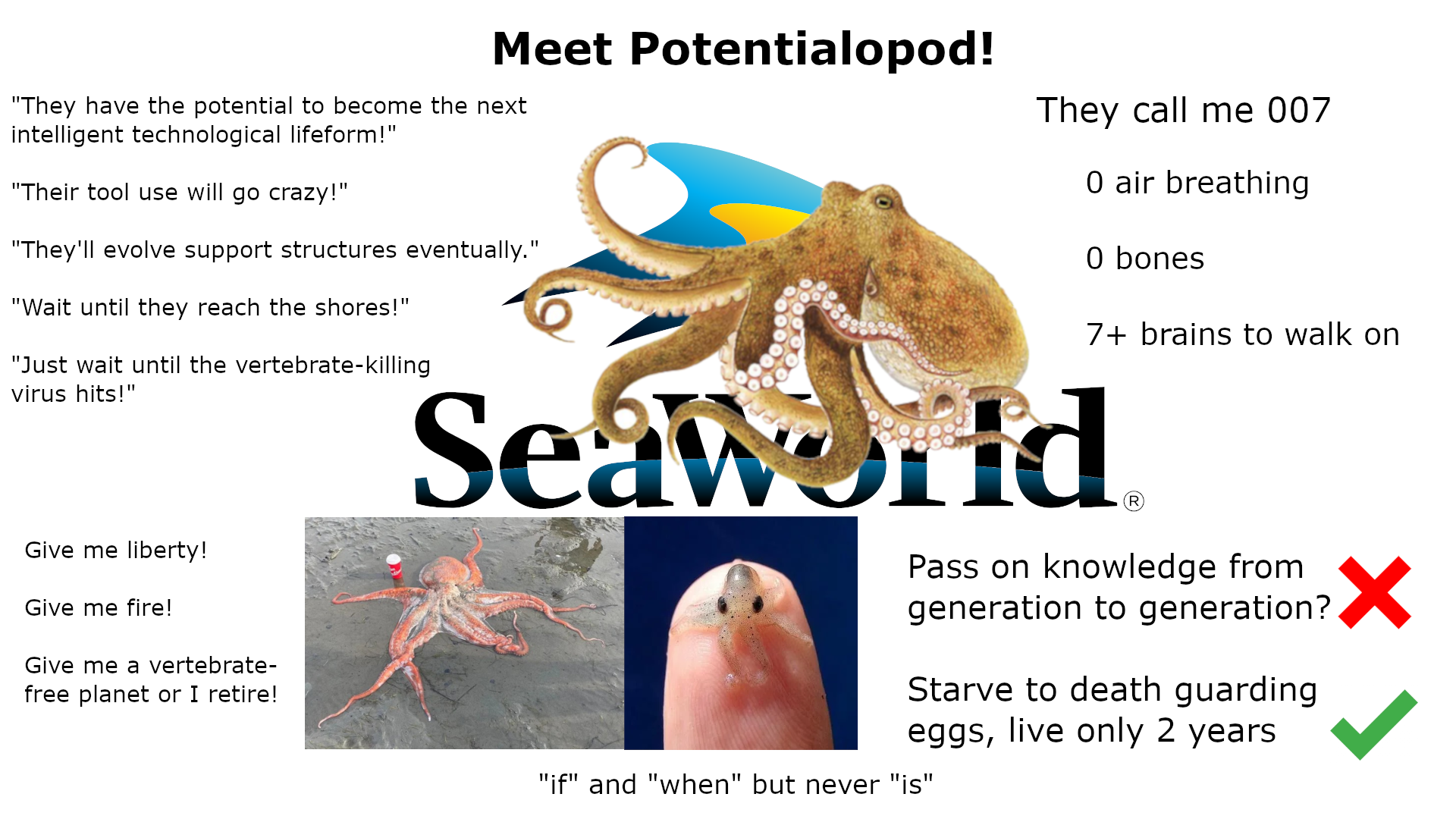 these cephalofrauds have been around since the Cambrian and yet they ...