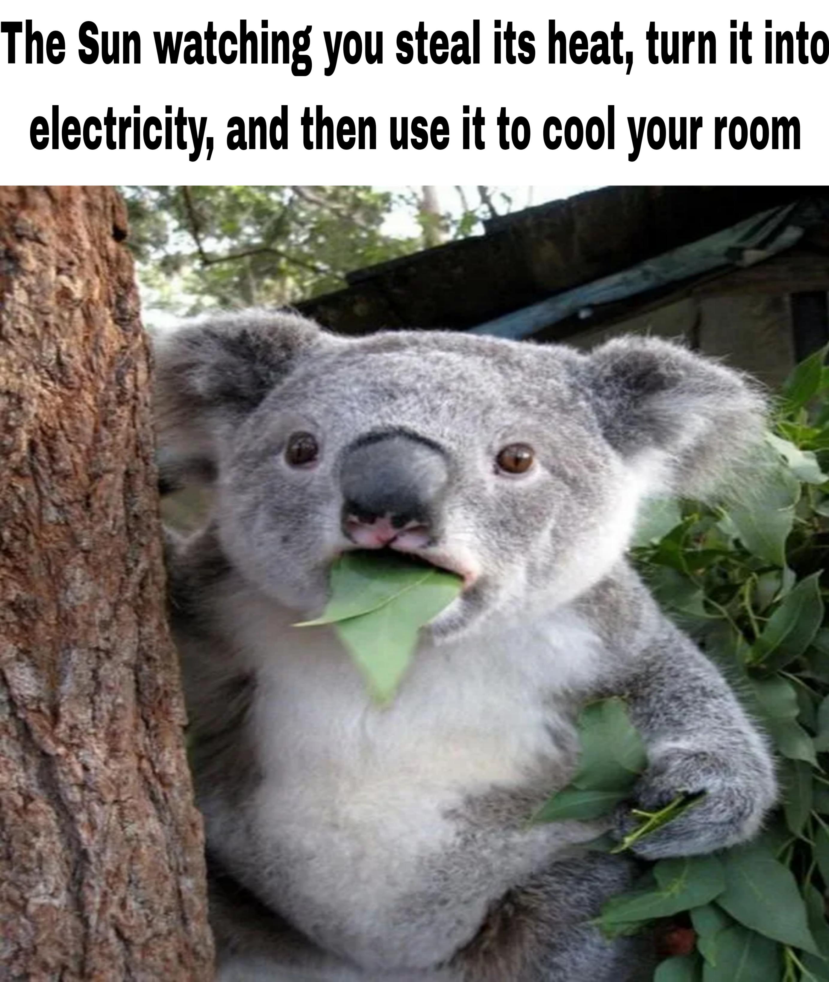 Bros getting violated | /r/dankmemes | Know Your Meme