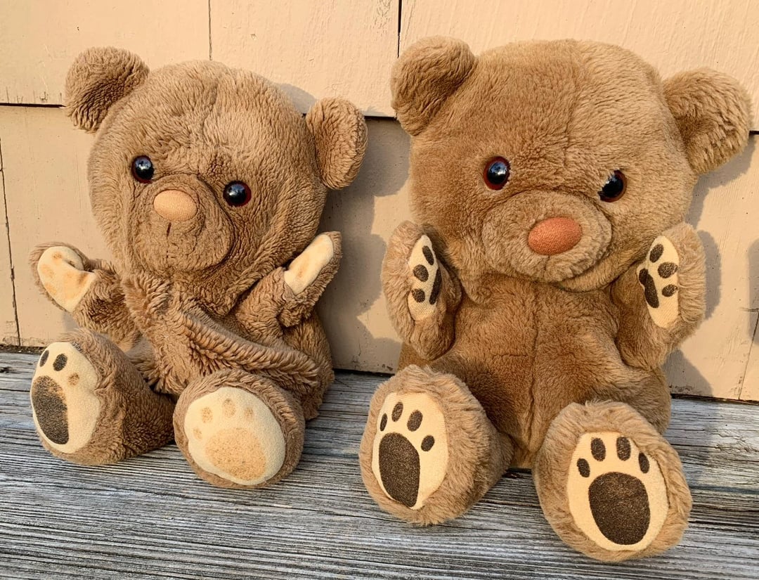 A new and loved bear | Know Your Meme