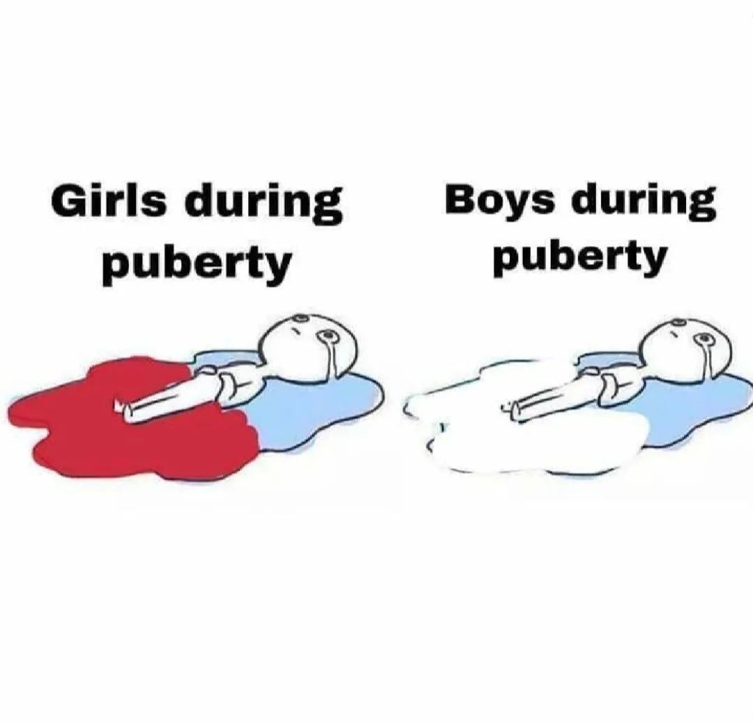 Transition phase......... | /r/memes | Know Your Meme