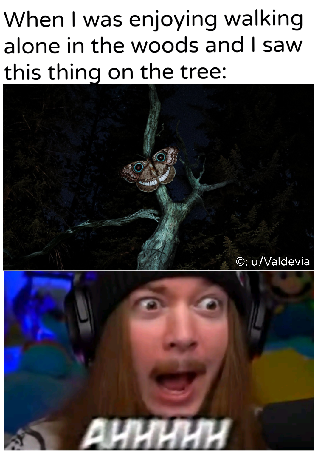 it "evolved to ward off humans" | /r/memes | Know Your Meme