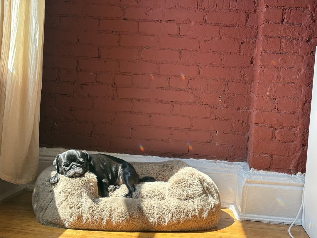 Sunbathing | Accidental Renaissance | Know Your Meme