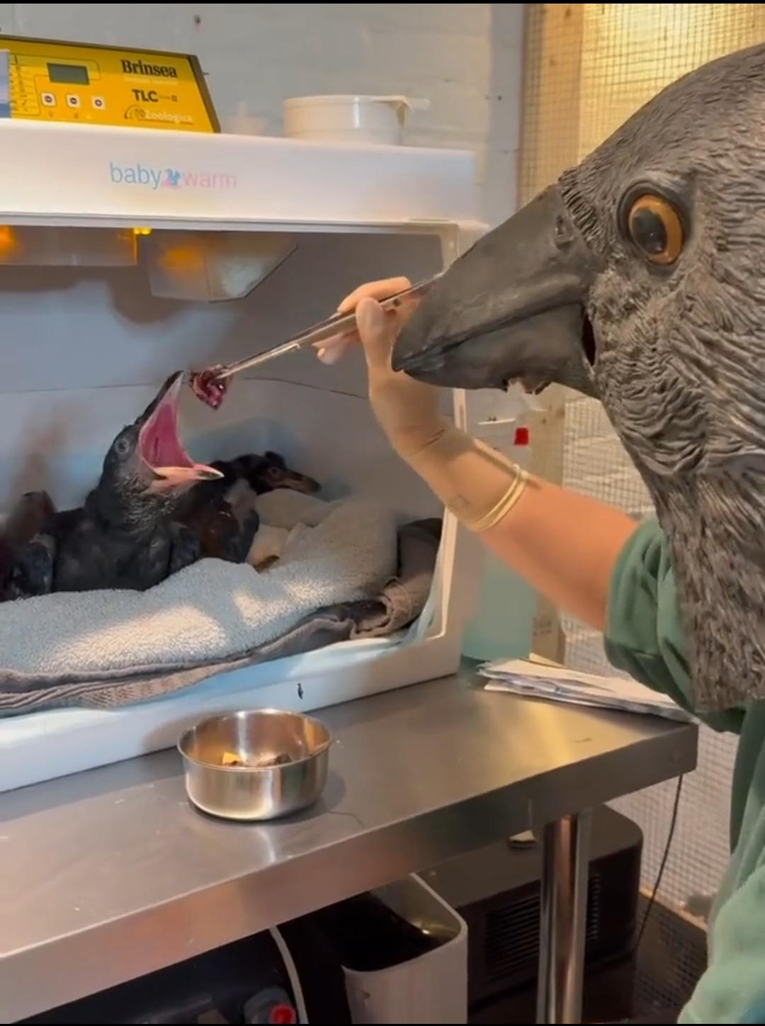 I think this has good potential. | /r/memes | Know Your Meme