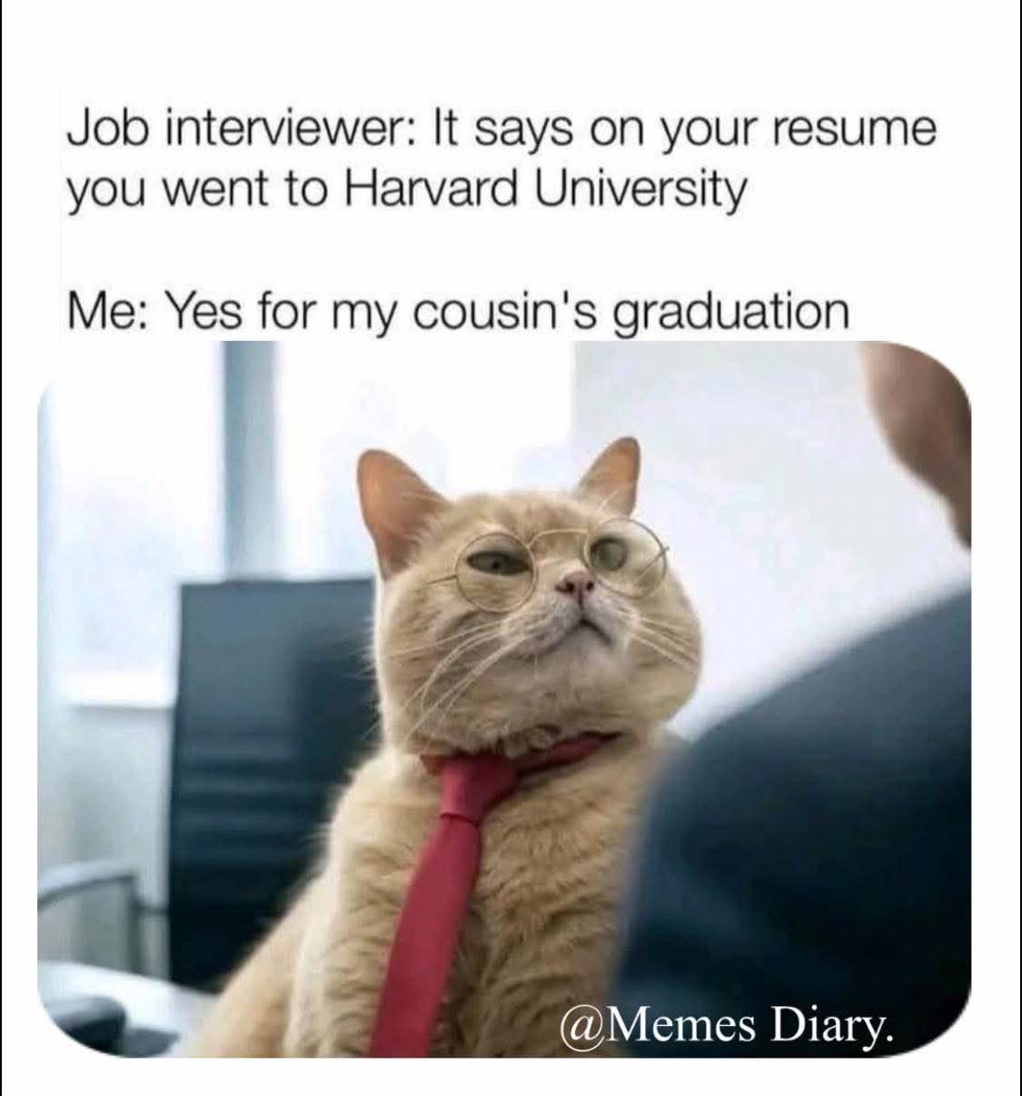 But It’s Written On The Resume | /r/memes | Know Your Meme