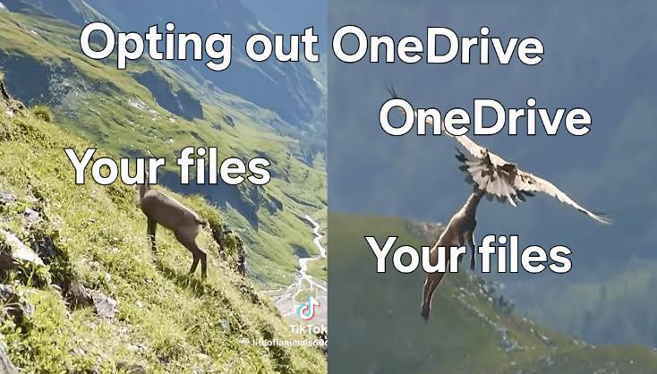 I hate Microsoft OneDrive | /r/memes | Know Your Meme
