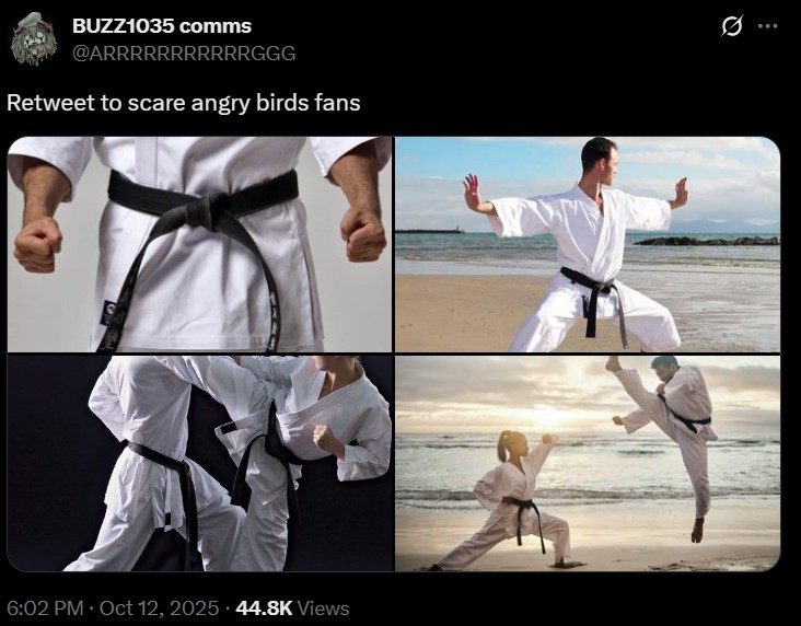 Retweet to scare angry birds fans | KrimaDraws Angry Birds Karate ...