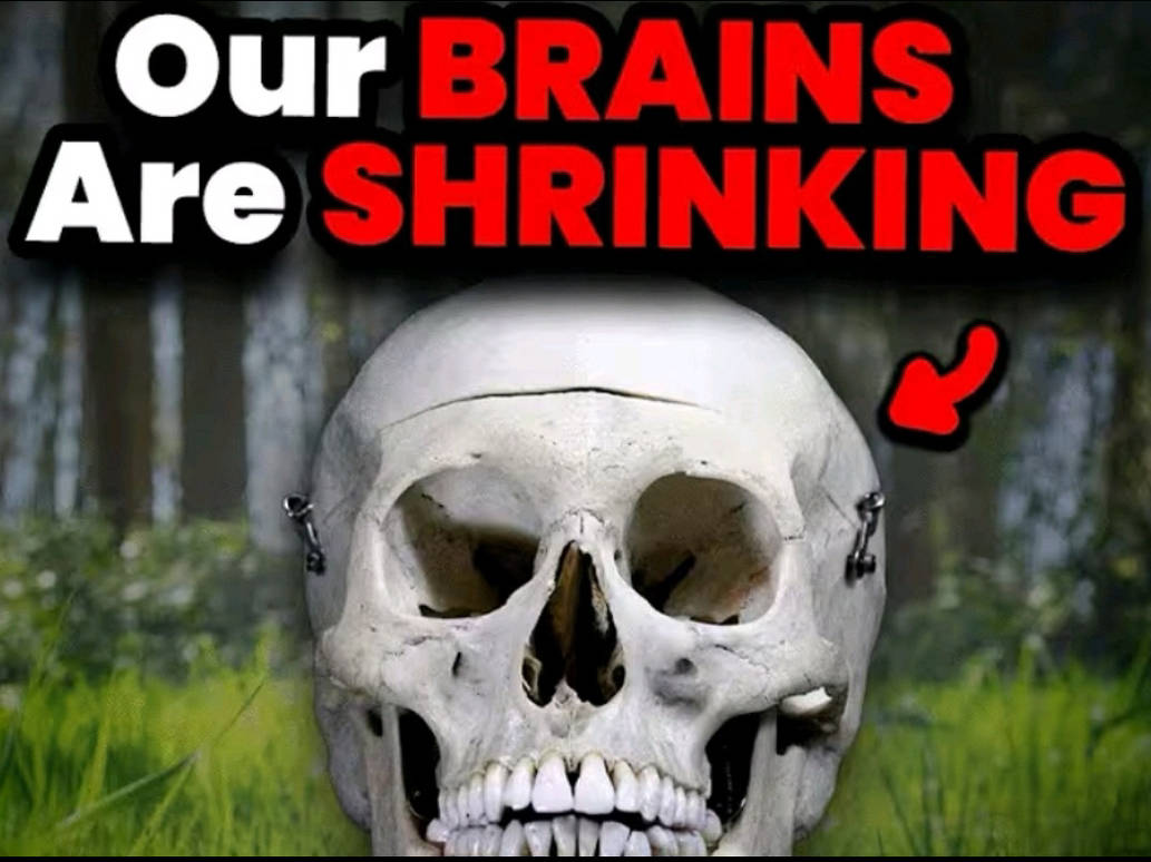 Cropped reaction image / meme | Our Brains Are Shrinking | Know Your Meme
