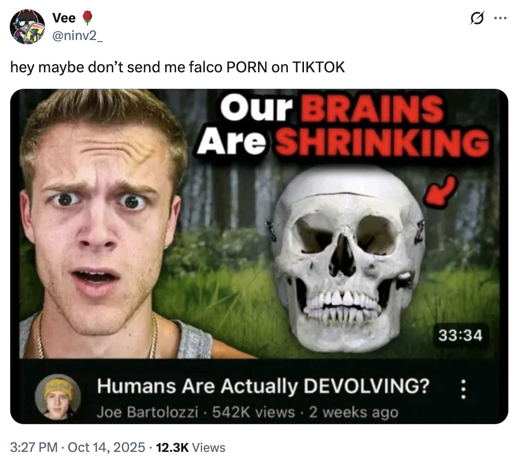 hey maybe don’t send me falco P--- on TIKTOK | Our Brains Are Shrinking ...