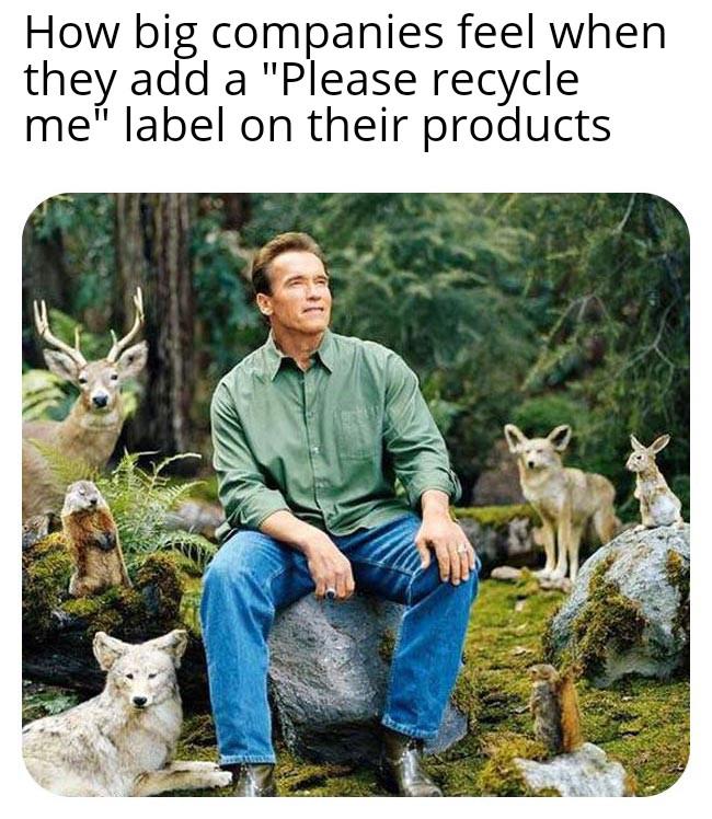 Big companies in a nutshell | /r/memes | Know Your Meme