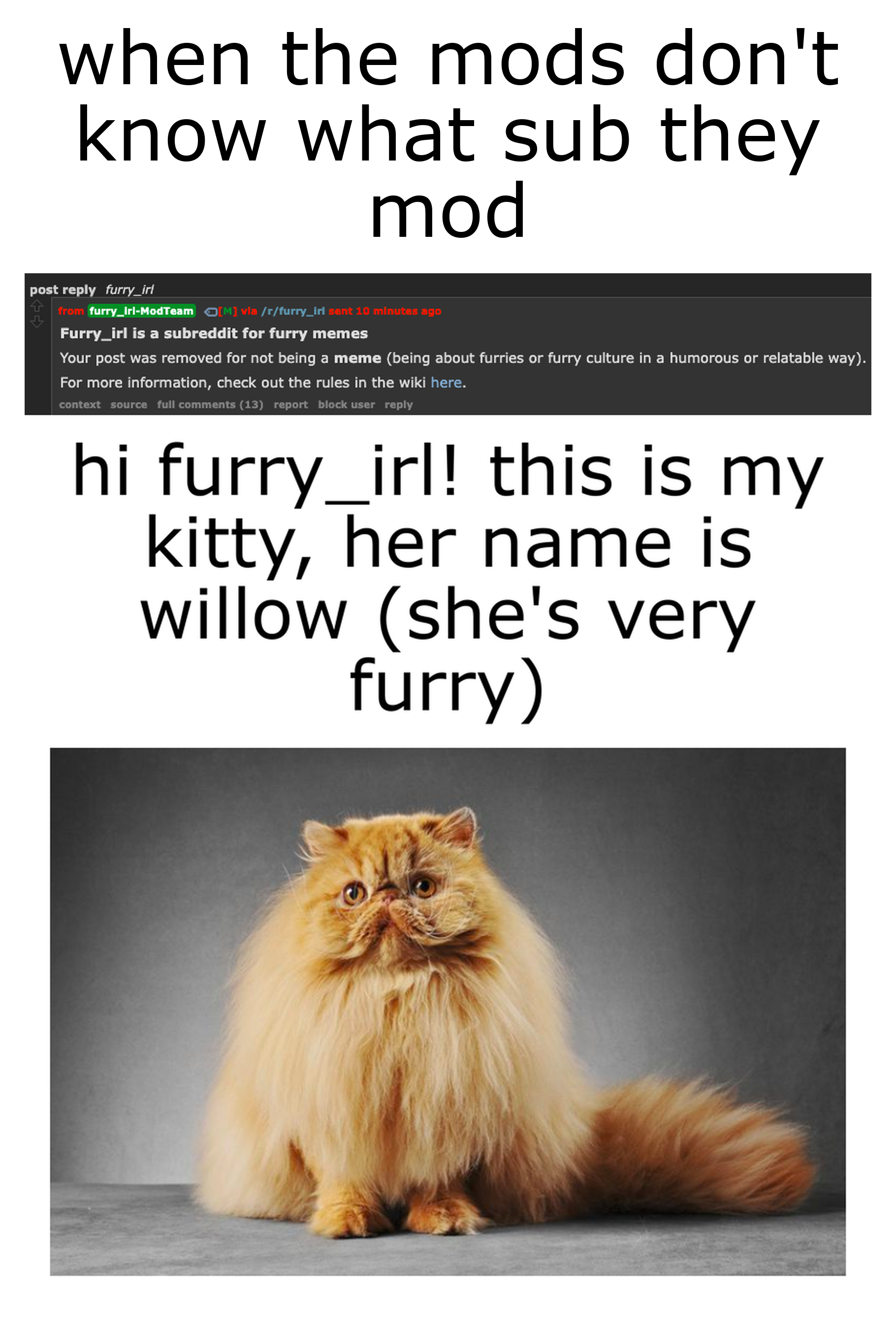 they're asleep at the wheel | /r/dankmemes | Know Your Meme