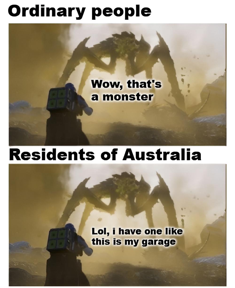 Where is my flamethrower?! | /r/memes | Know Your Meme