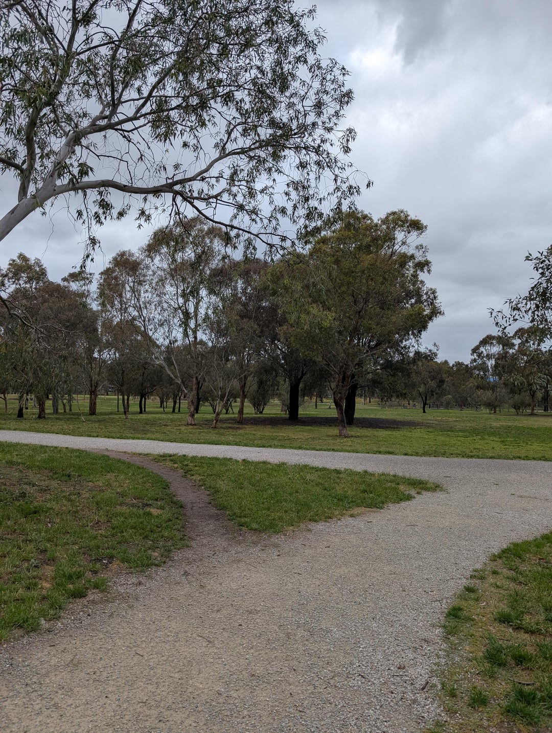 Cutting corners | Know Your Meme