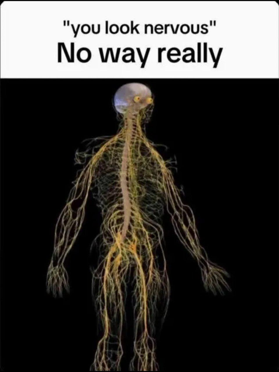 You look nervous | /r/memes | Know Your Meme