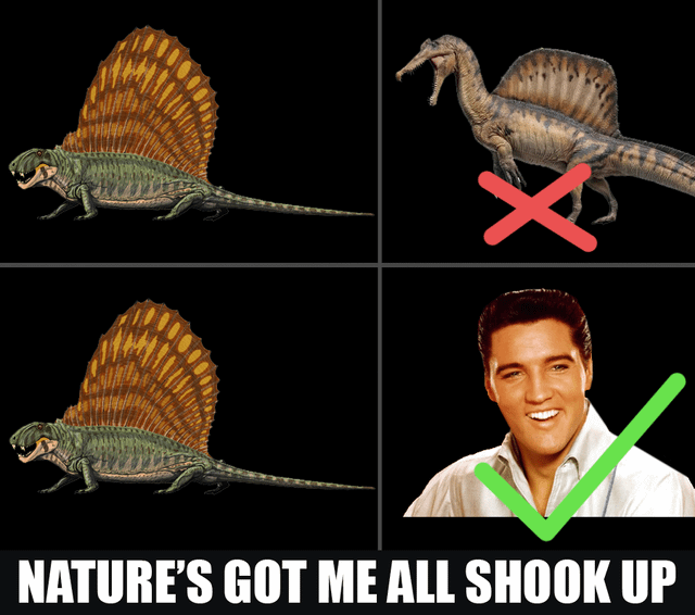 Reminder that we humans are more related to Dimetrodon then dinosaurs ...