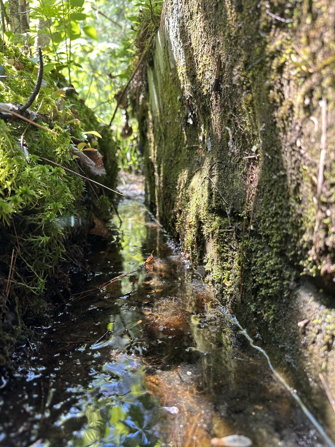 A little ravine | Know Your Meme