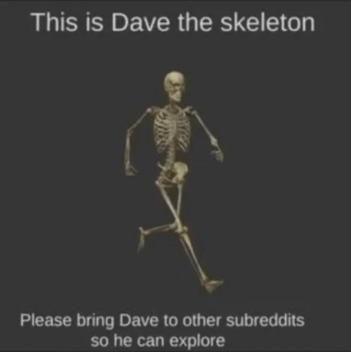 davedavedave | /r/memes | Know Your Meme