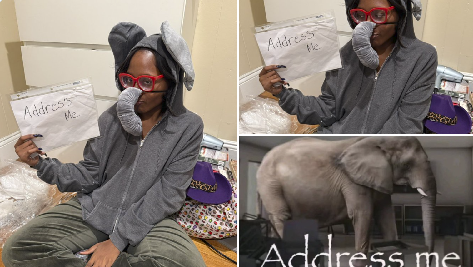 The elephant in the room | Know Your Meme