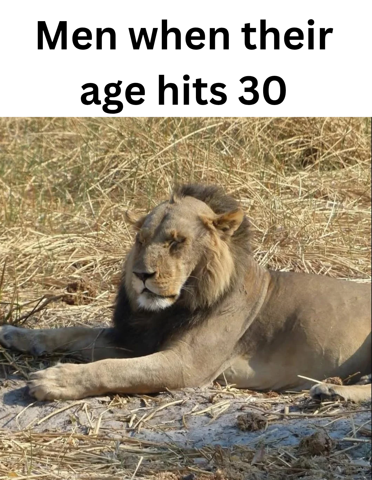 Men balding | /r/memes | Know Your Meme