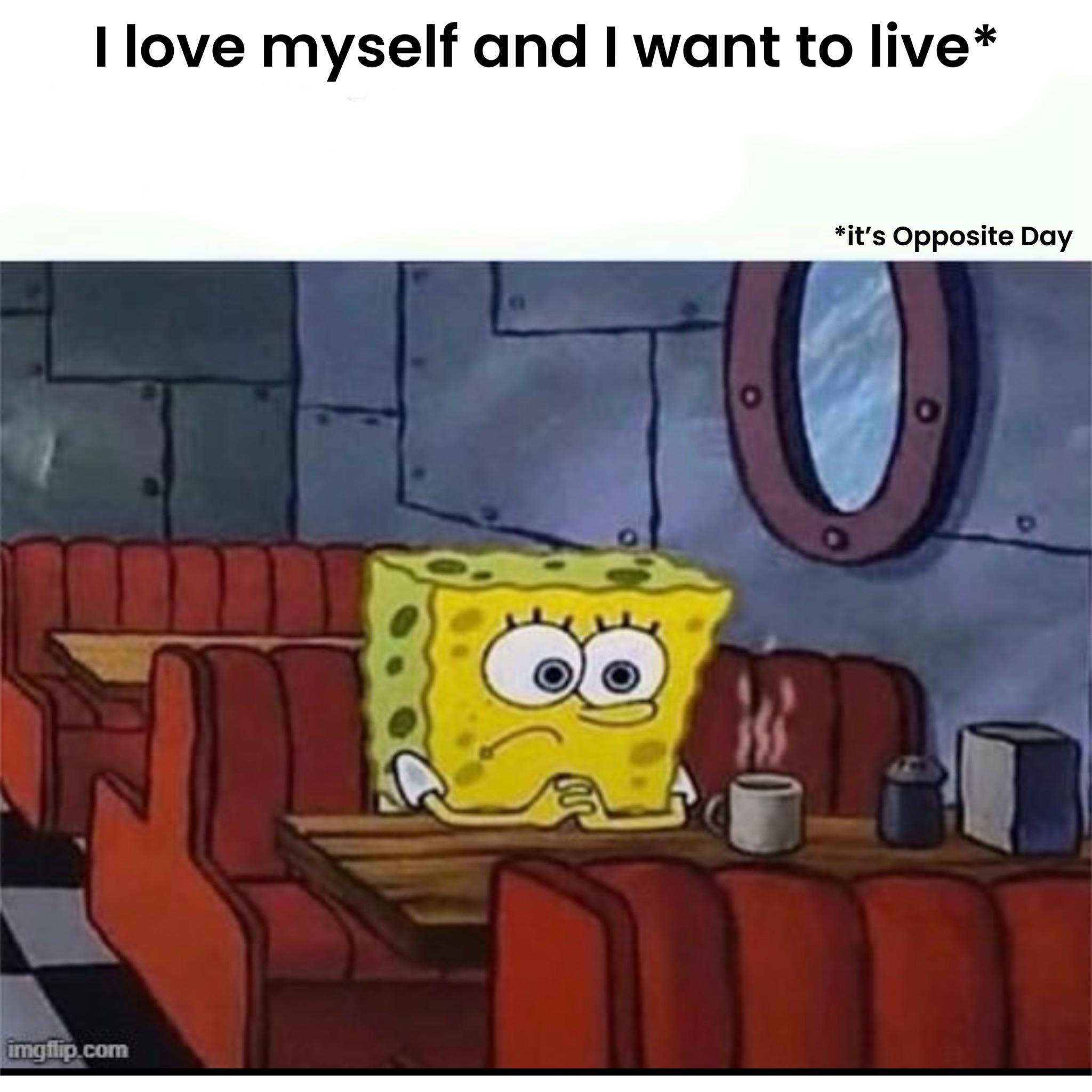 I really mean it! | /r/dankmemes | Know Your Meme