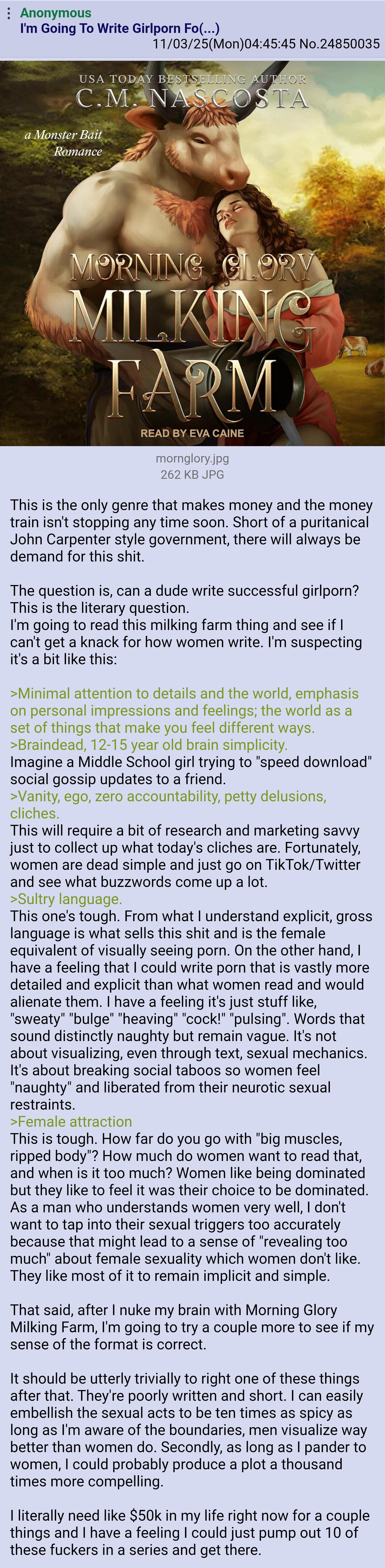 Lit anon has a plan | /r/Greentext | Know Your Meme