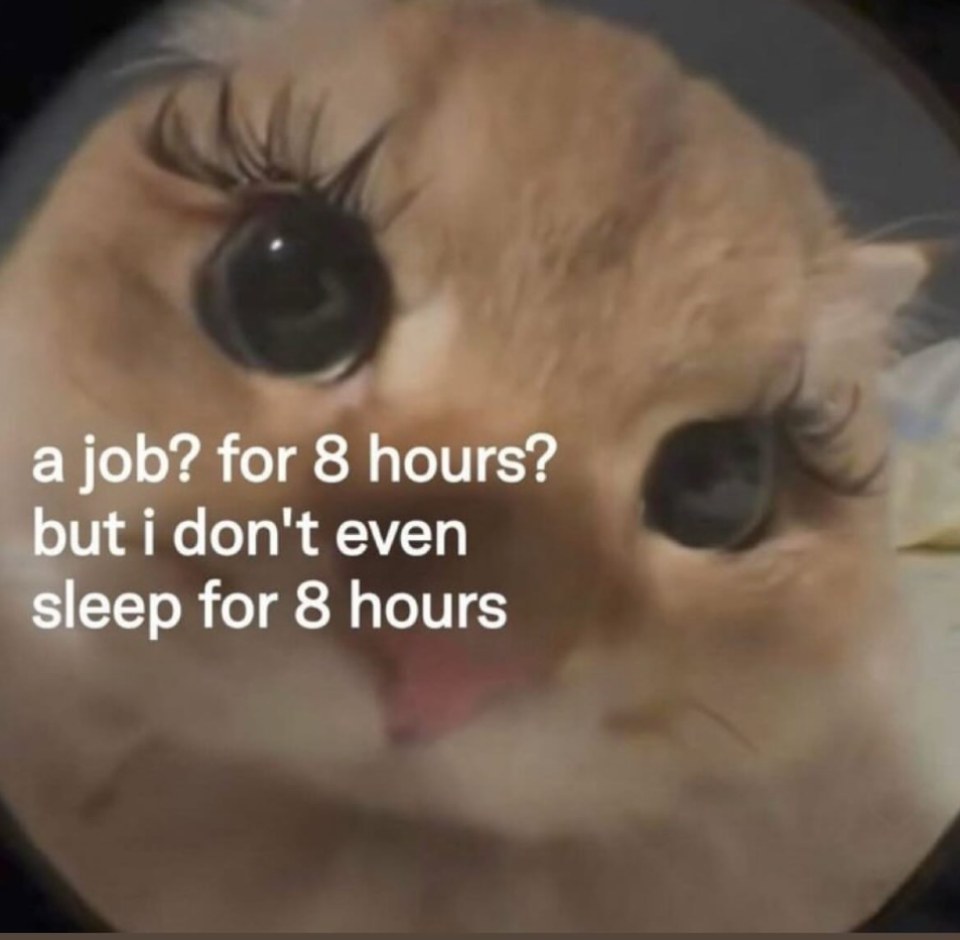 Life is a scam bro | /r/memes | Know Your Meme