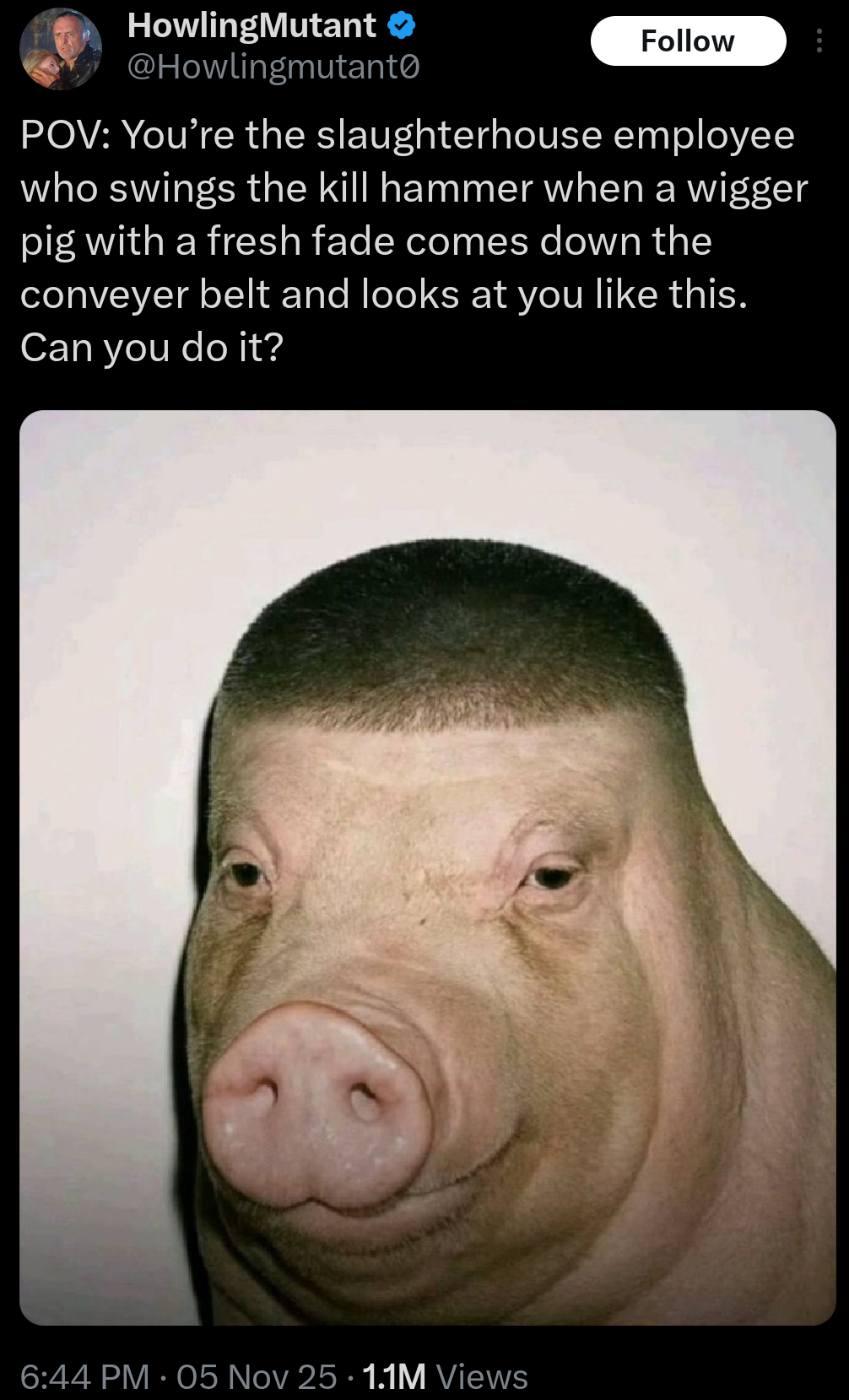 Could you do it? | Fade Pig / Buzz Cut Pig | Know Your Meme