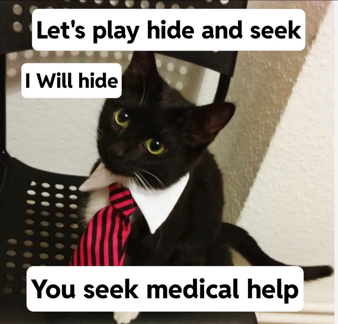 Let's play | /r/memes | Know Your Meme