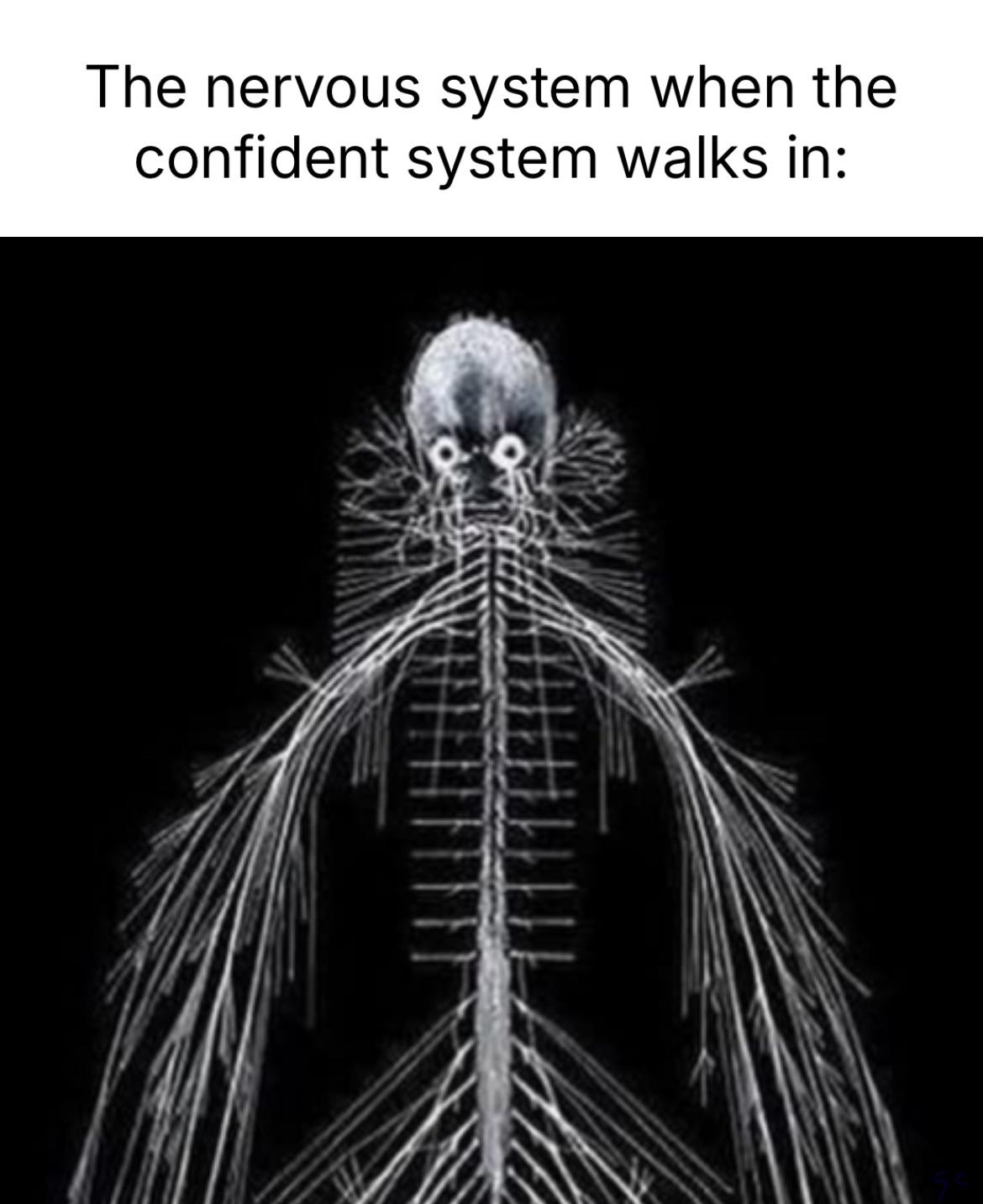 Things are about to get interesting | /r/memes | Know Your Meme