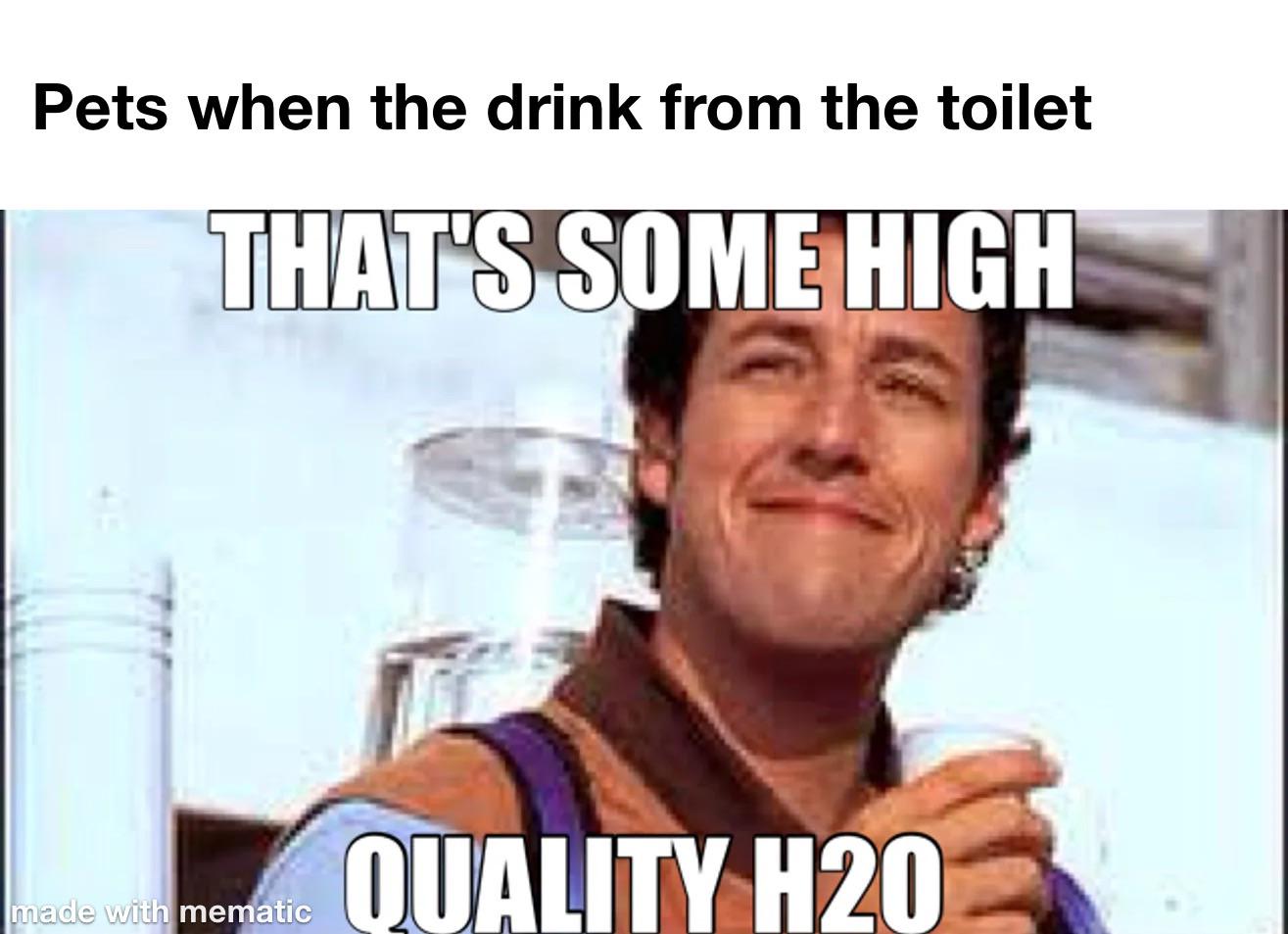 They seem to prefer it | /r/memes | Know Your Meme