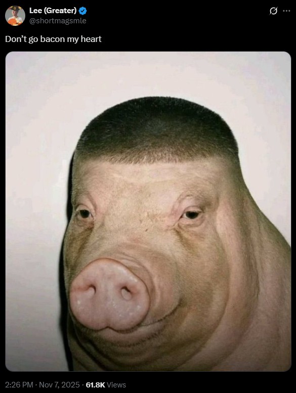 Fade Pig / Buzz Cut Pig: Image Gallery | Know Your Meme