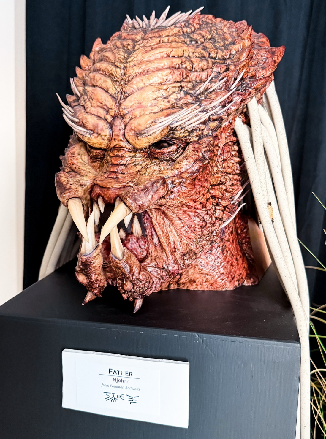 Njohrr | Predator | Know Your Meme