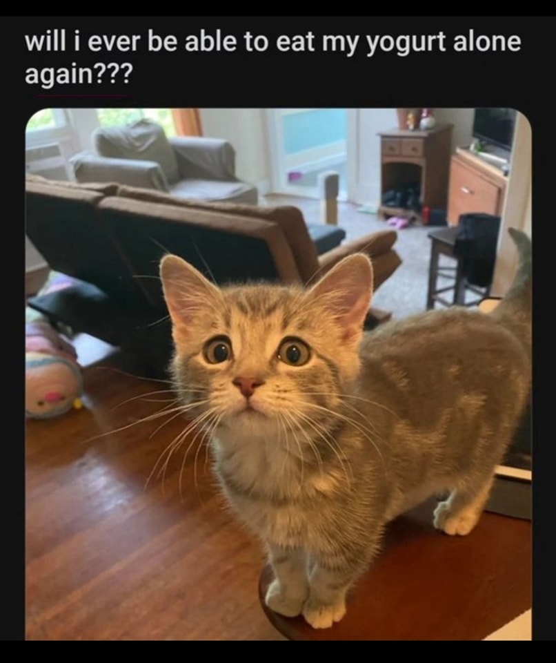 Never | Know Your Meme