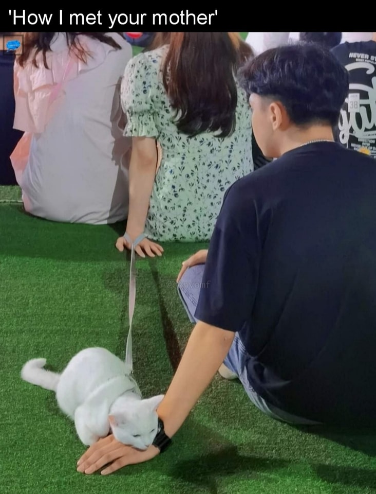 Rest Your Weary Head | Know Your Meme