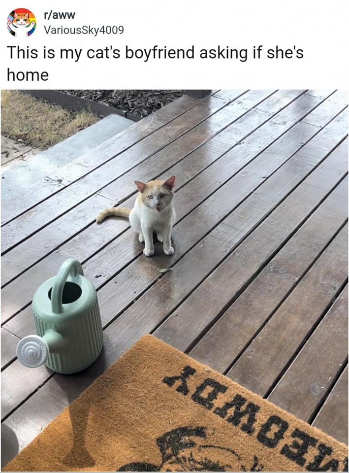 Date Night | Know Your Meme